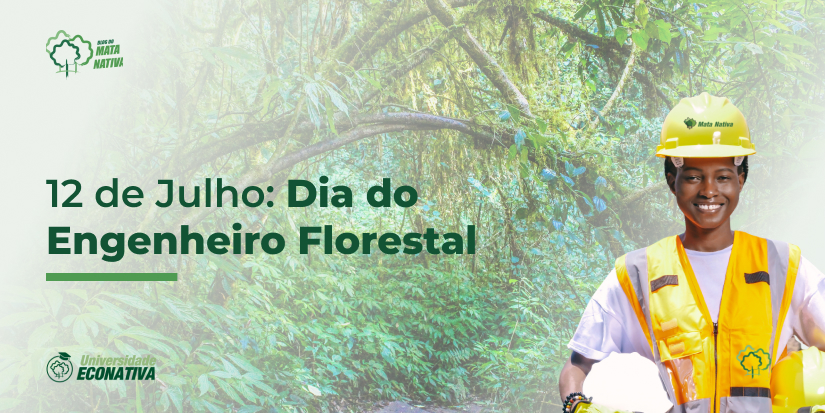 12 de Julho: Dia do Engenheiro Florestal - Software Mata Nativa 4