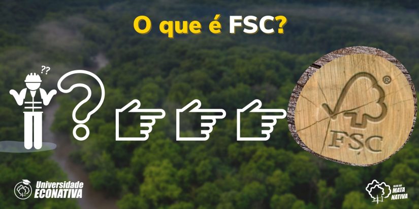 O que é FSC? - Software Mata Nativa