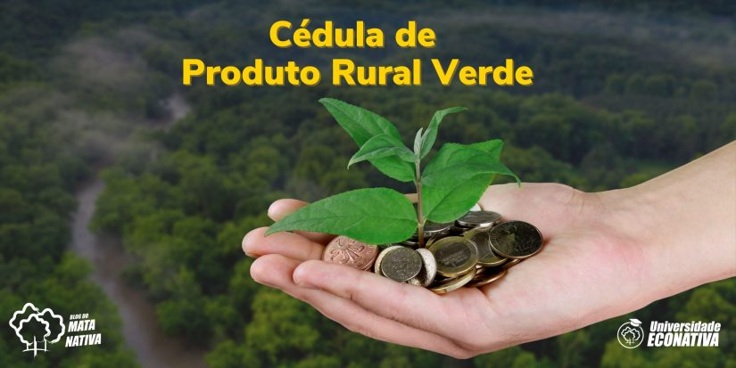 Cédula de Produto Rural Verde - Software Mata Nativa 4