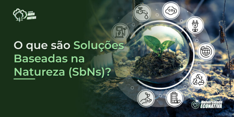 O que são as soluções baseadas na natureza(SbNs)?