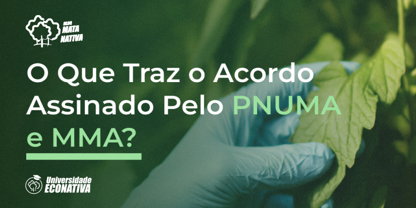 O Que Traz o Acordo Assinado Pelo PNUMA e MMA? - Software Mata Nativa
