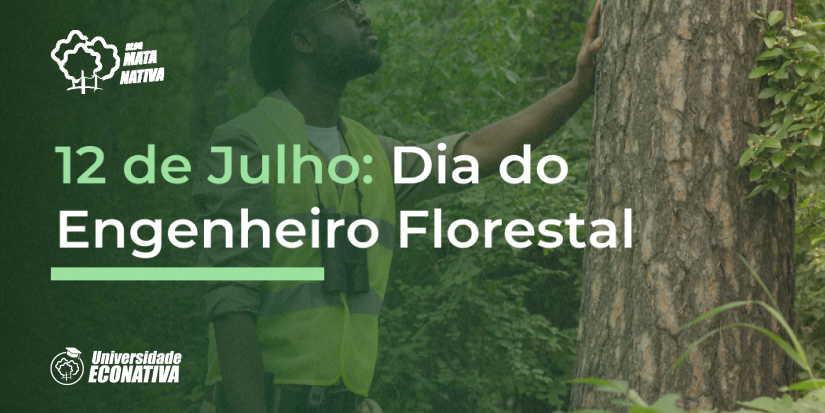 12 de Julho: Dia do Engenheiro Florestal - Software Mata Nativa
